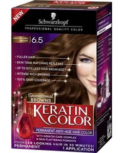 Henkel’s Schwarzkopf Brand Keratin Color | The Beauty Influencers