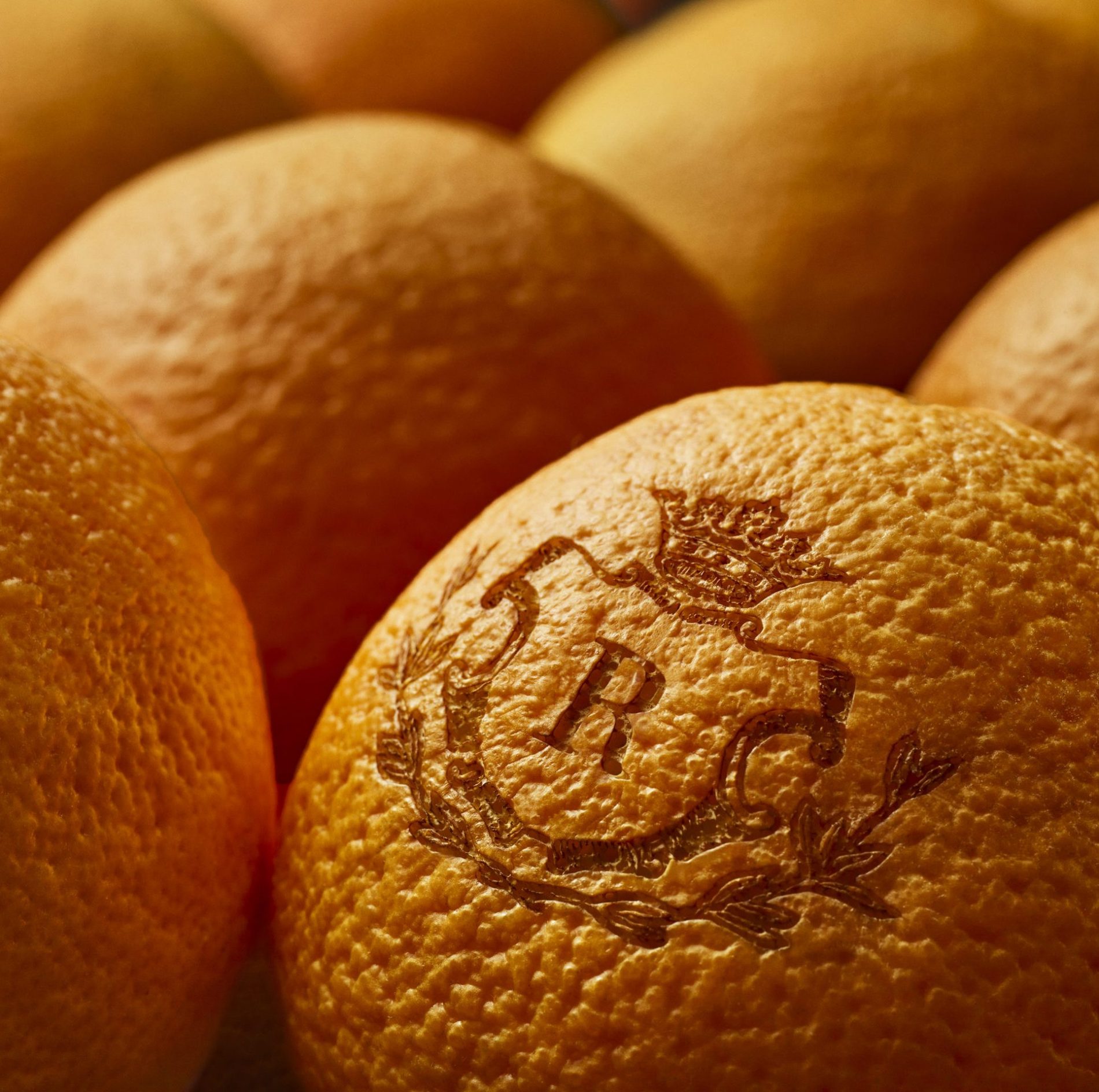 Robertet Acquires Ecom Food Industries | The Beauty Influencers